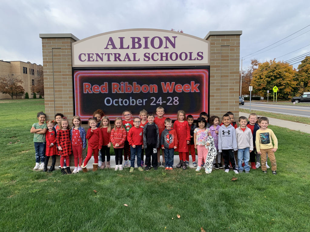 Live Feed | Albion Central School District